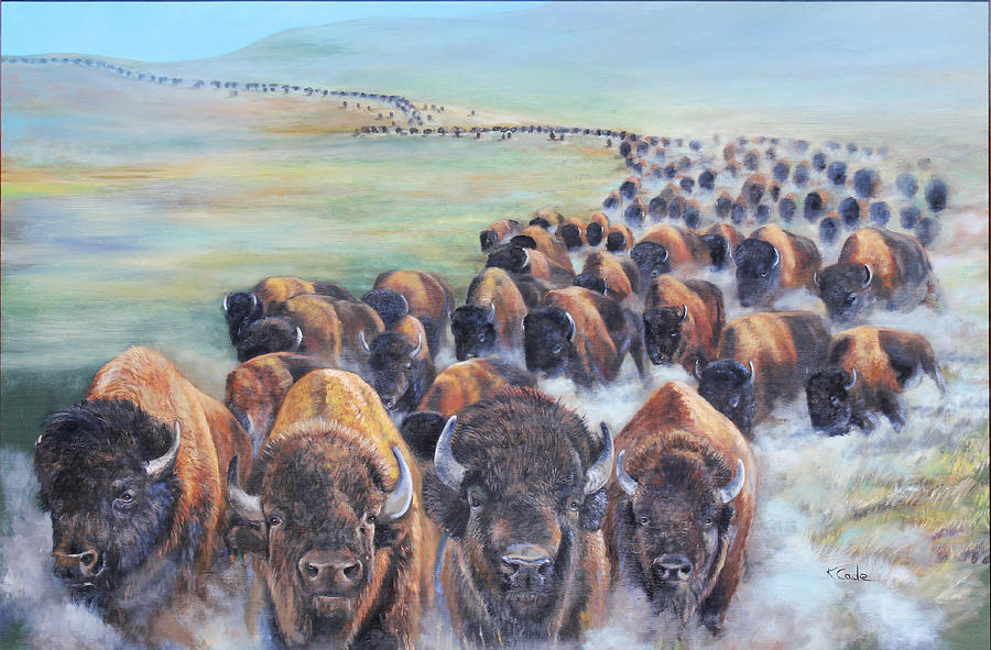 The Legacy Of The Buffalo Is Recounted In Vastly Different Ways ...